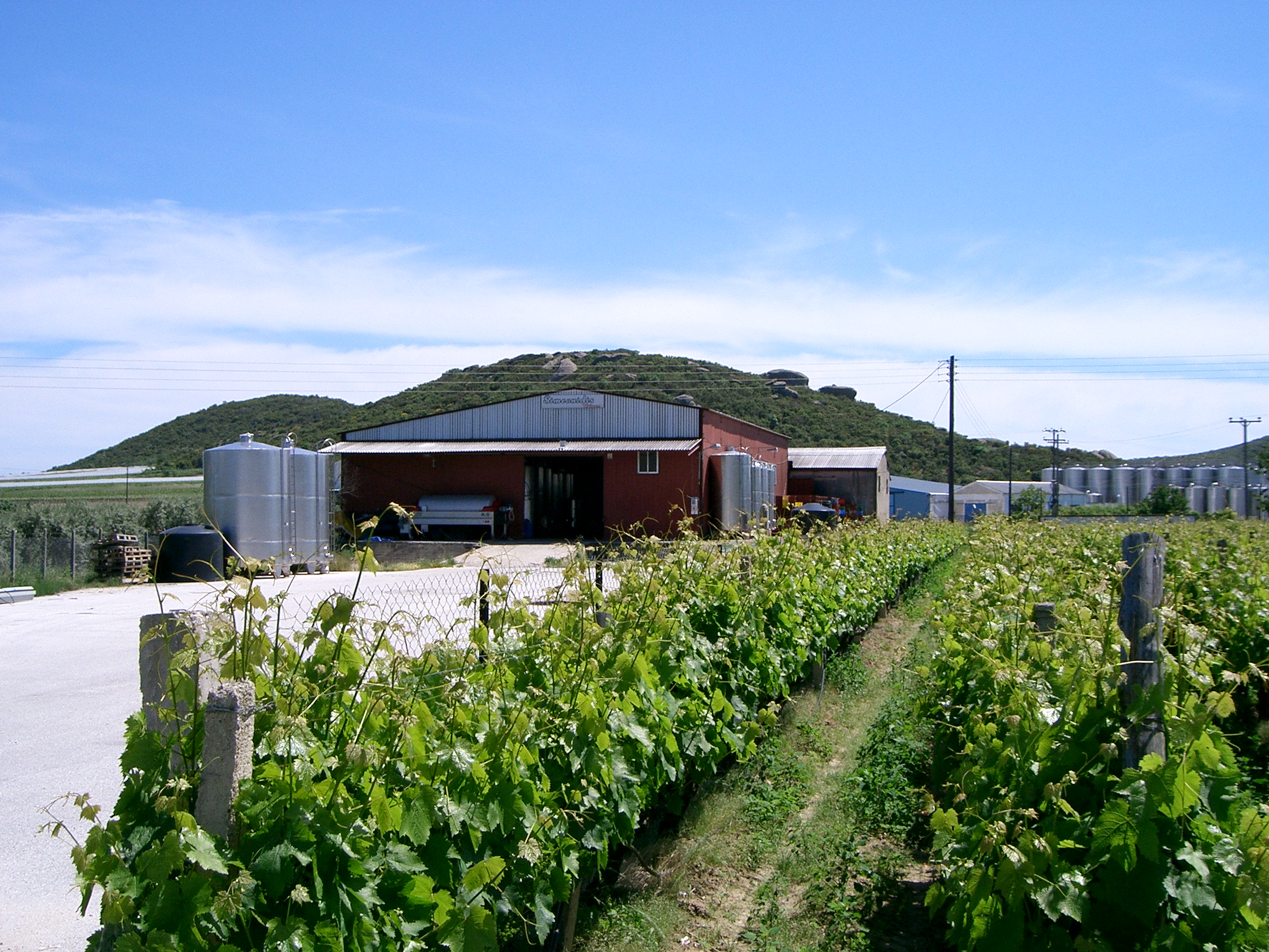 Οινοποιεία Νέα Πέραμος Καβάλας (ΑΓΡΟΤΙΚΑ - ΚΤΗΝΟΤΡΟΦΙΚΑ) | ΣΥΜΕΩΝΙΔΗΣ ...